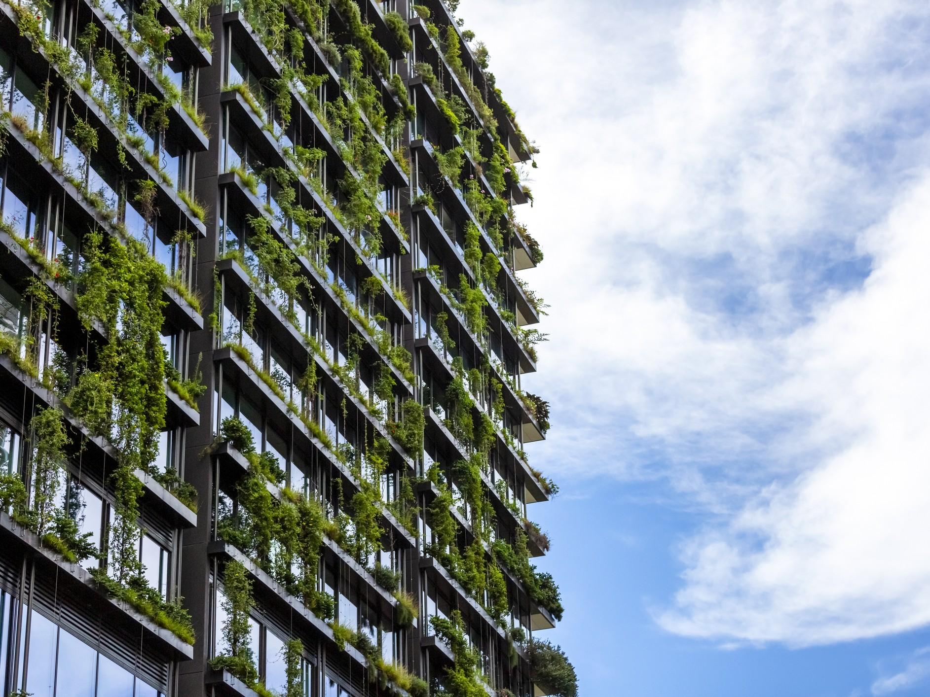 Expert opinion on the implementation of the European Energy Performance ...